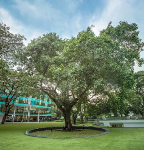 Campus Life | Singapore Management University (SMU)